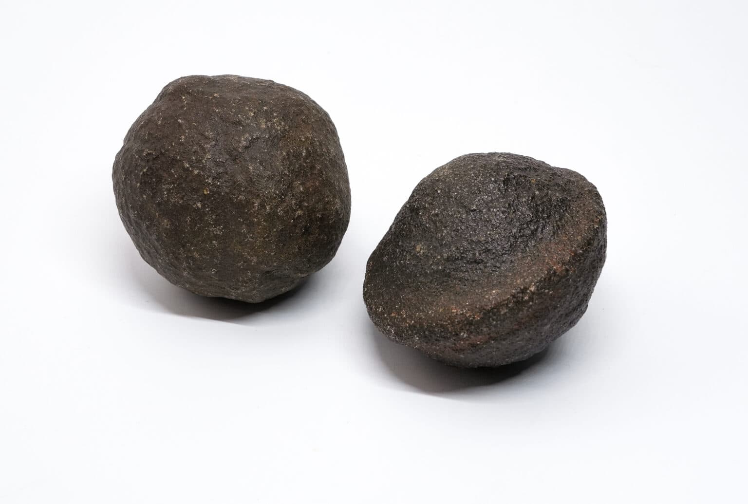 Fact or fable? - Septarian concretions originate from deceased animals ...
